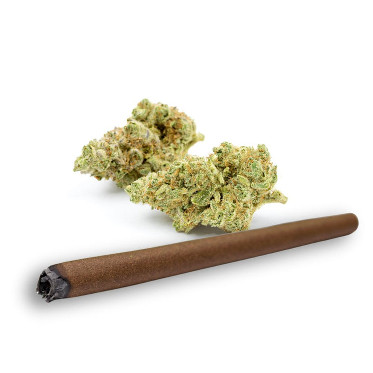 What Is Badder? A Guide to This Creamy Cannabis Concentrate – Lucky Elk