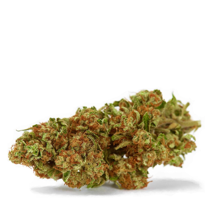 Breadstix THCa – Lucky Elk