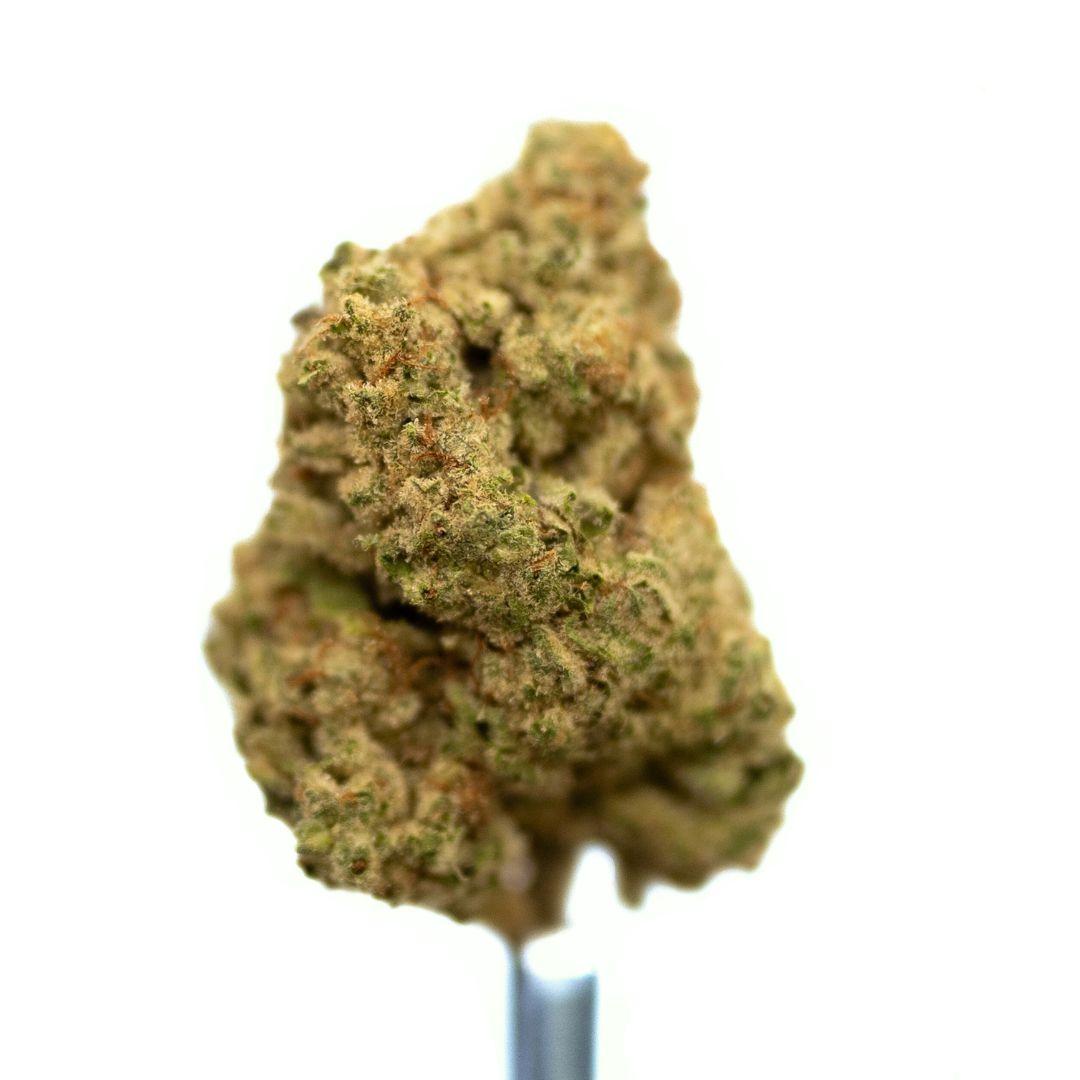 Cereal Milk · Greenhouse THCa Flower – Lucky Elk