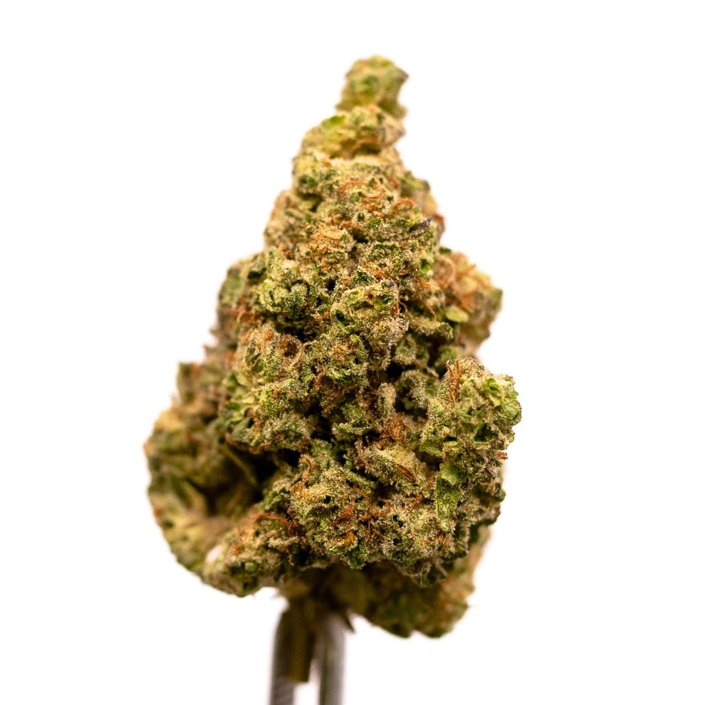 Garlic Cake THCa – Lucky Elk