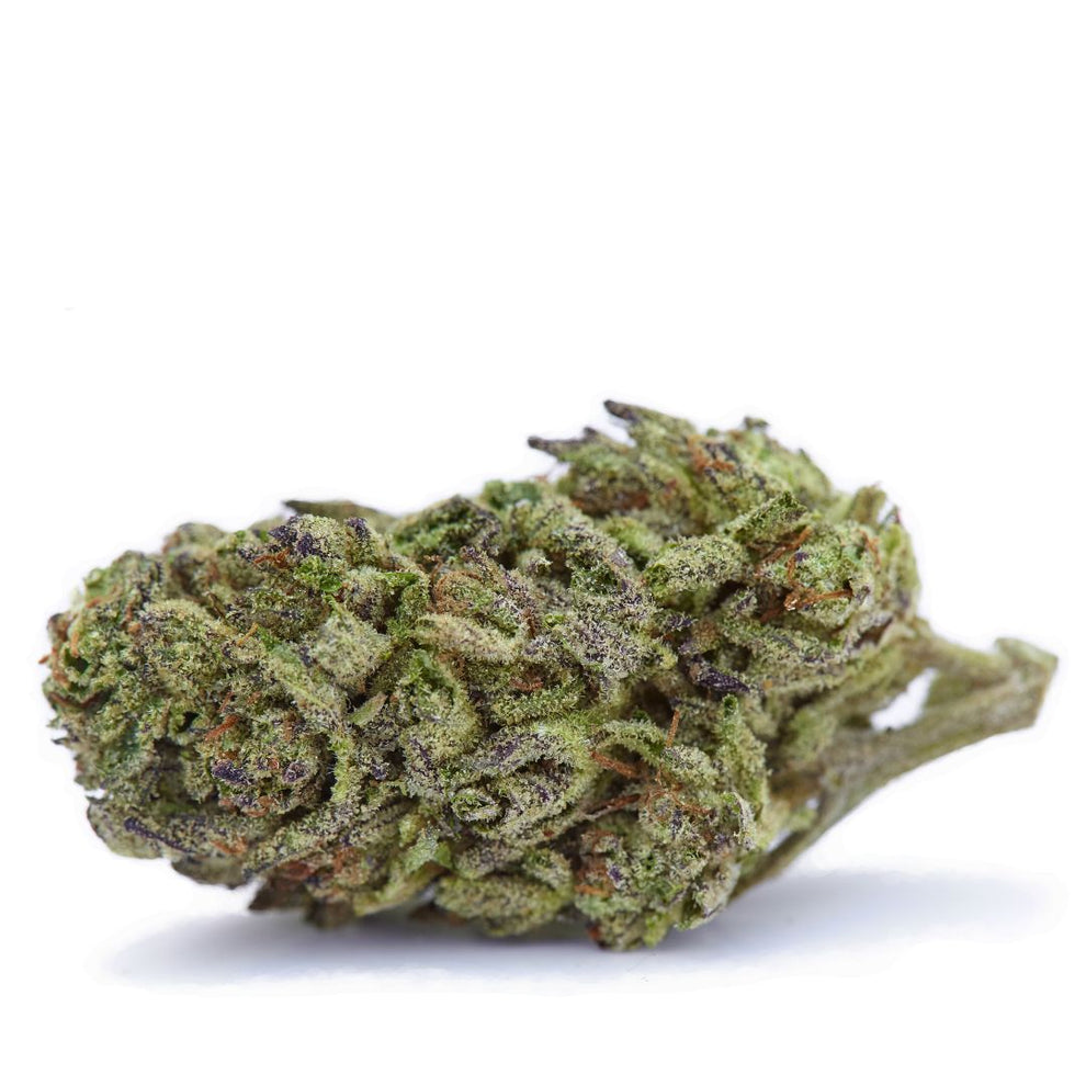 GMO Rootbeer THCa – Lucky Elk