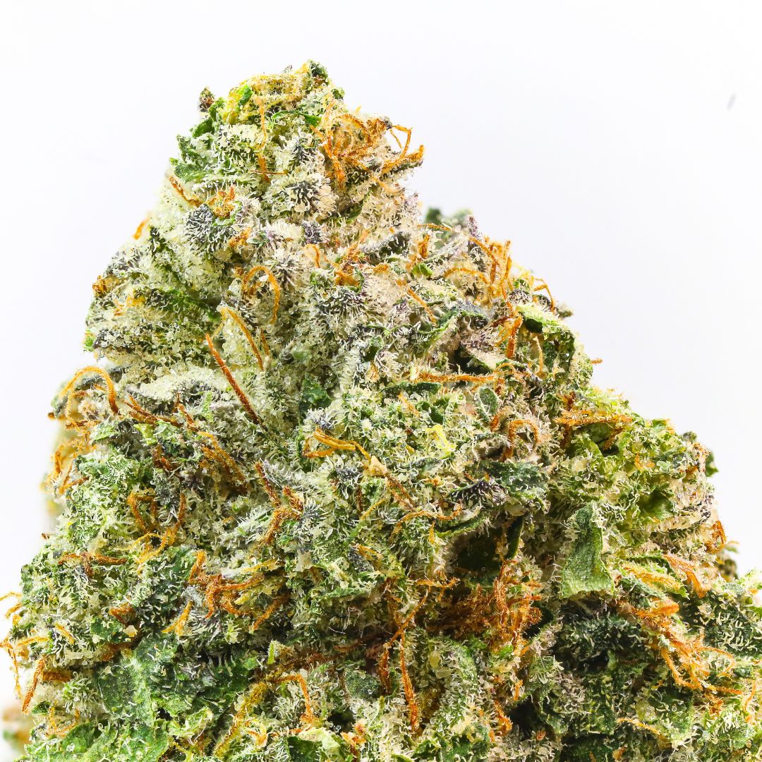 What Is Badder? A Guide to This Creamy Cannabis Concentrate – Lucky Elk