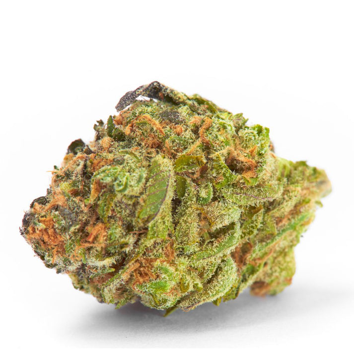 Orange Push Pop THCa – Lucky Elk