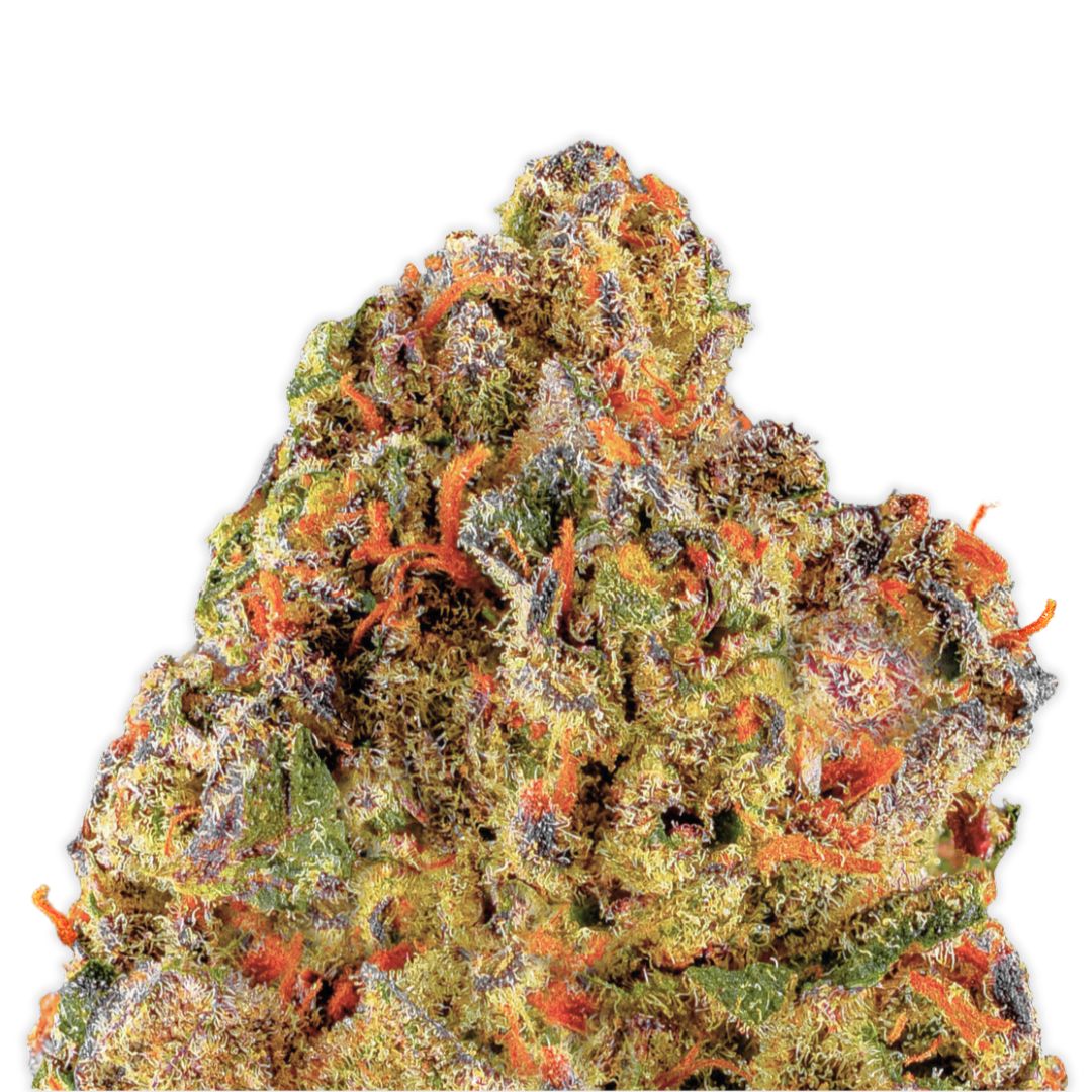 Super Buff Cherry Strain THCa Flower – Lucky Elk