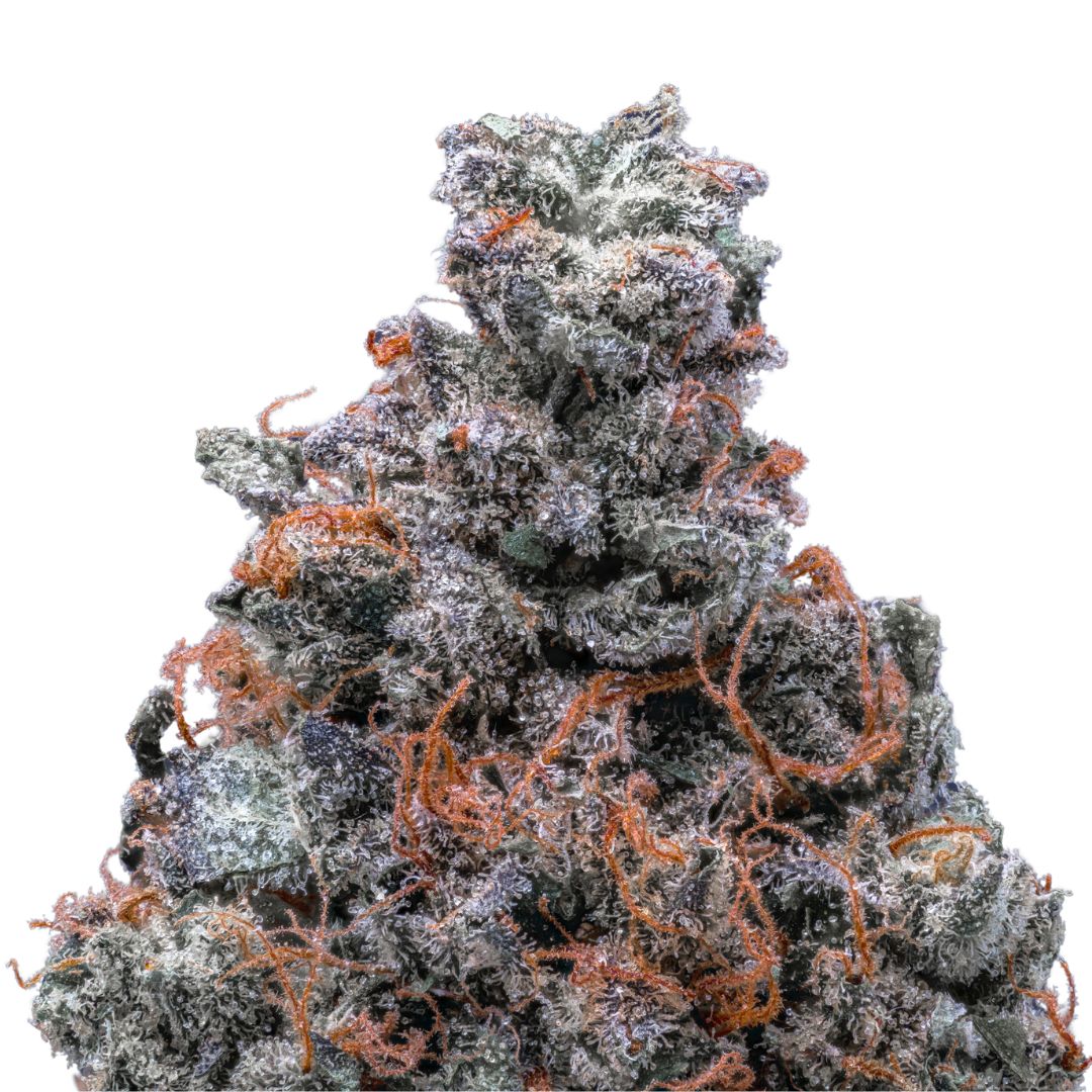 White Runtz THCa – Lucky Elk